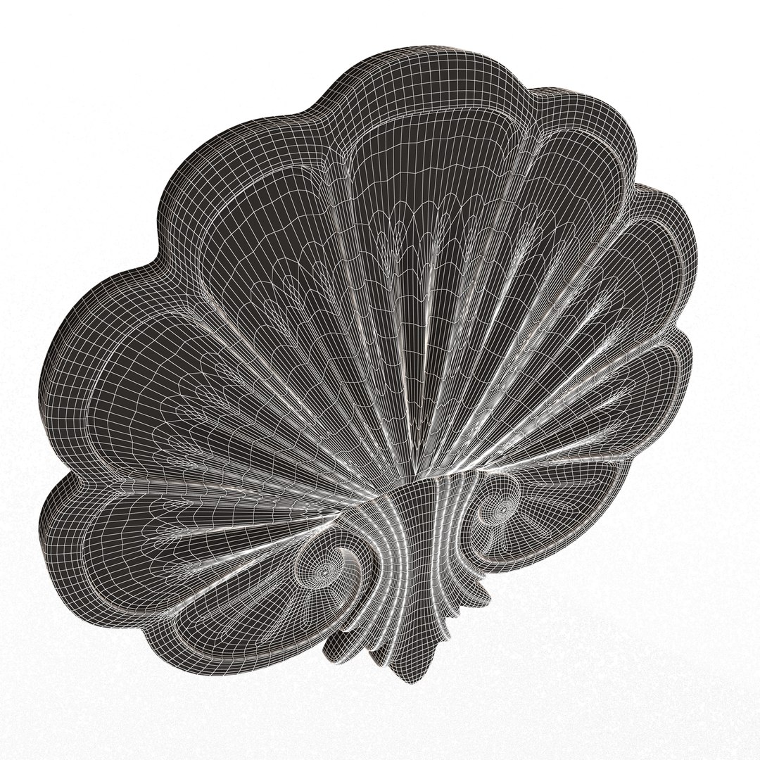 3D Shell Carved 05 - TurboSquid 1936806