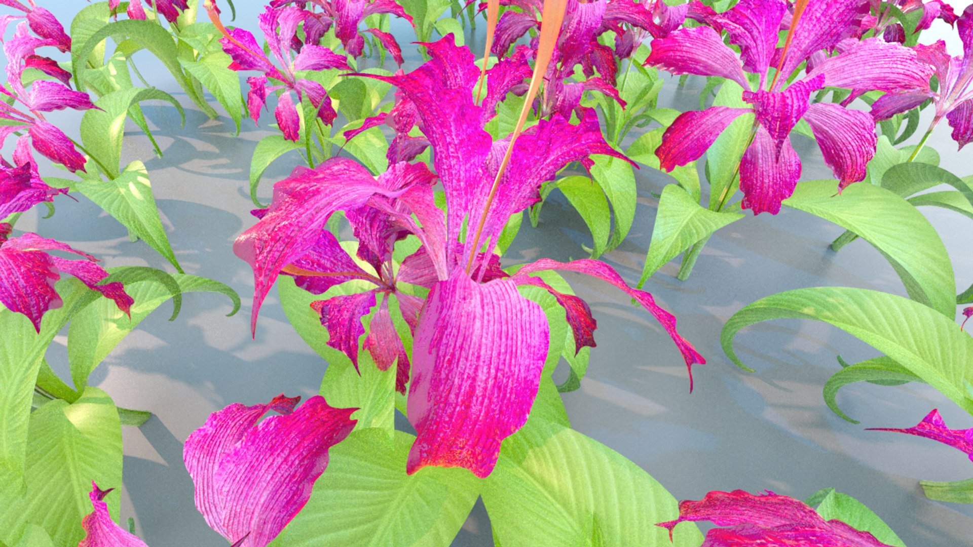 Forest Flower 3D Model - TurboSquid 1733627