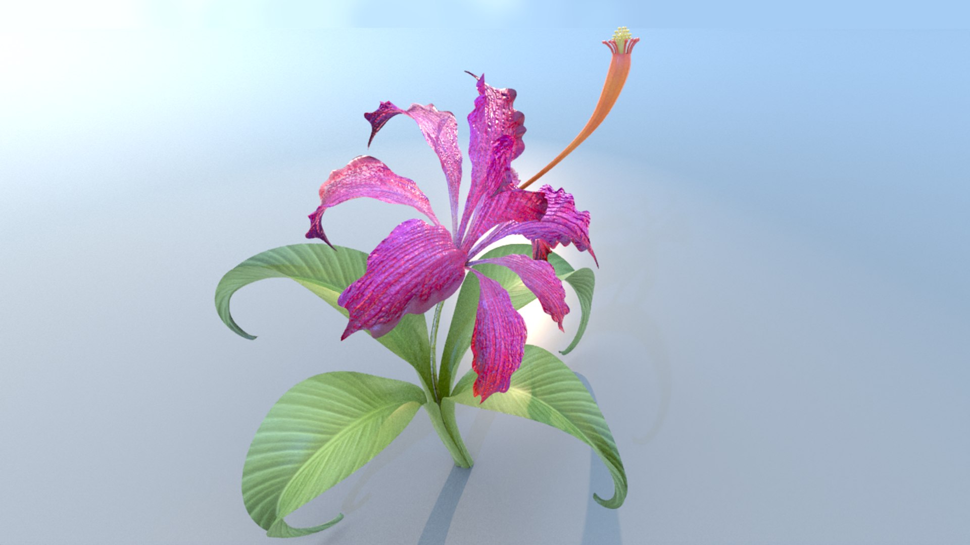 Forest Flower 3D Model - TurboSquid 1733627