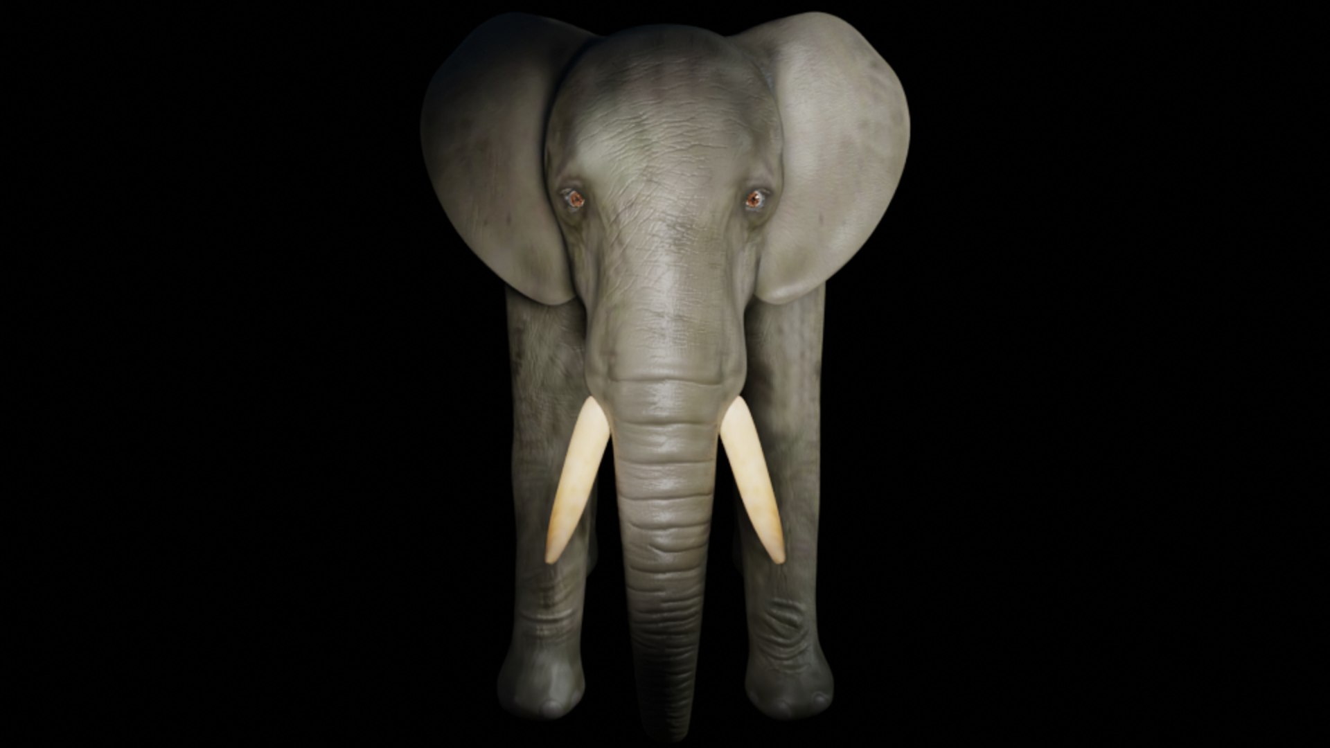 Elephant For Game 3D - TurboSquid 2137363