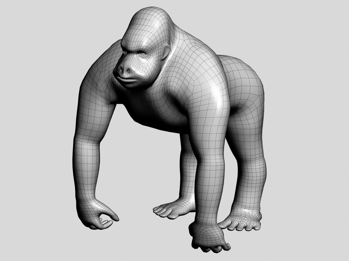 3d primate gorilla
