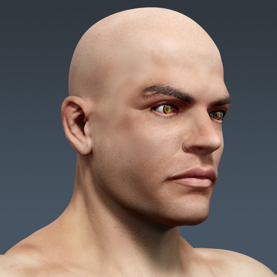 3d Rigged Human Male Body Model