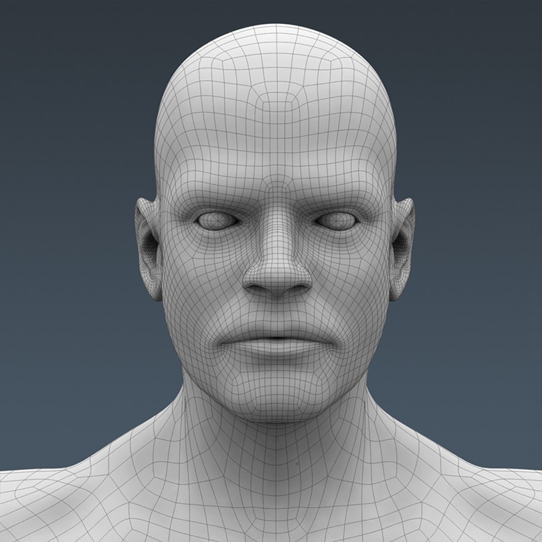 3d rigged human male body model