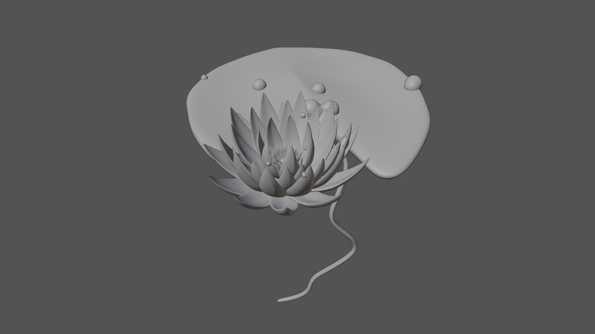 Lilypad 3D Model - TurboSquid 1768758