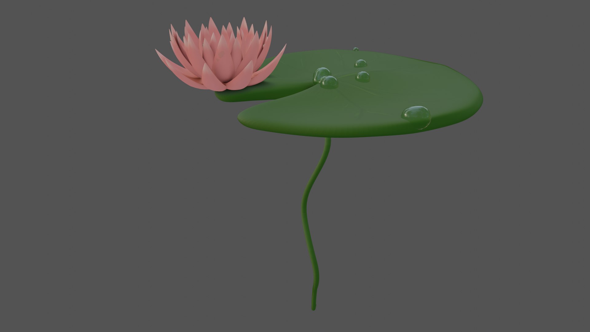 Lilypad 3D Model - TurboSquid 1768758