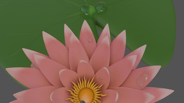 Lilypad 3D model - TurboSquid 1768758