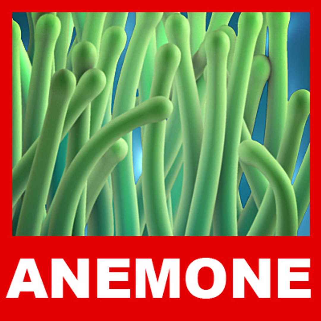 3ds Max Sea Anemone Tenticles
