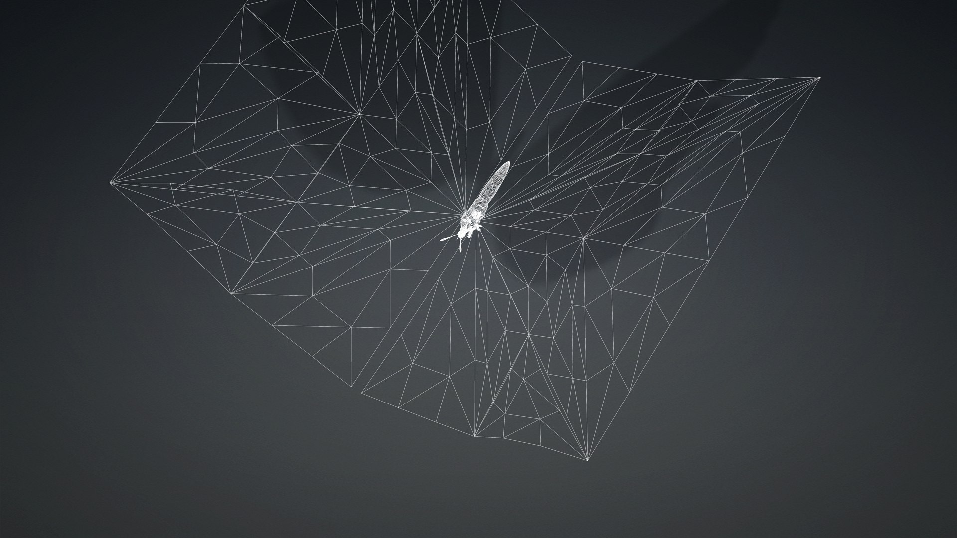 Butterfly queen 3D - TurboSquid 2118701