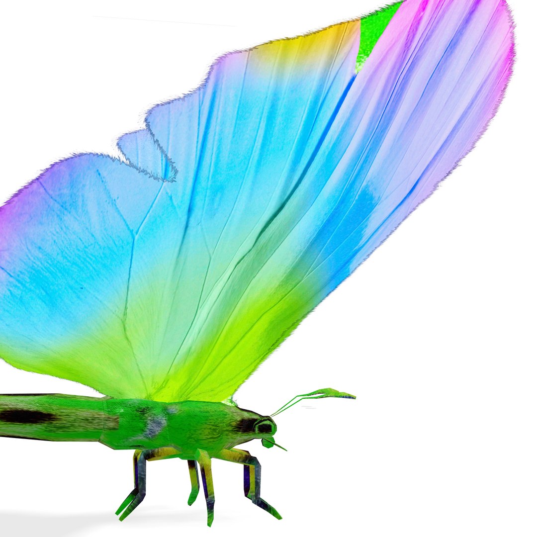 Butterfly queen 3D - TurboSquid 2118701