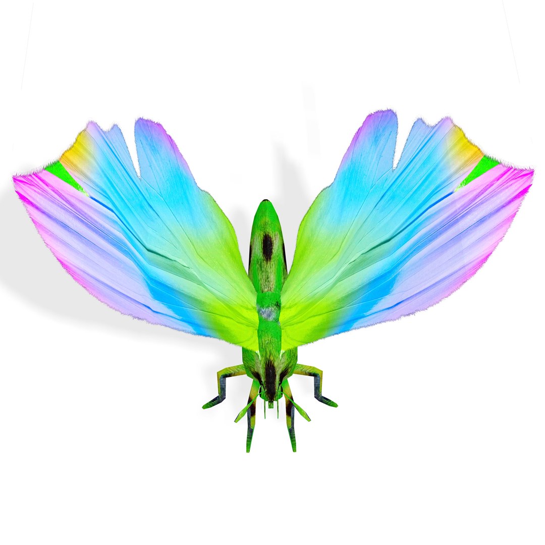 Butterfly queen 3D - TurboSquid 2118701