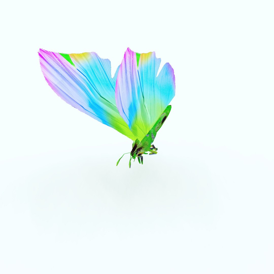 Butterfly queen 3D - TurboSquid 2118701