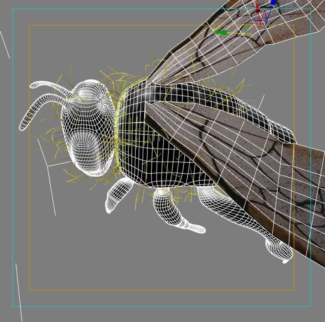 3D honey bee - TurboSquid 446625