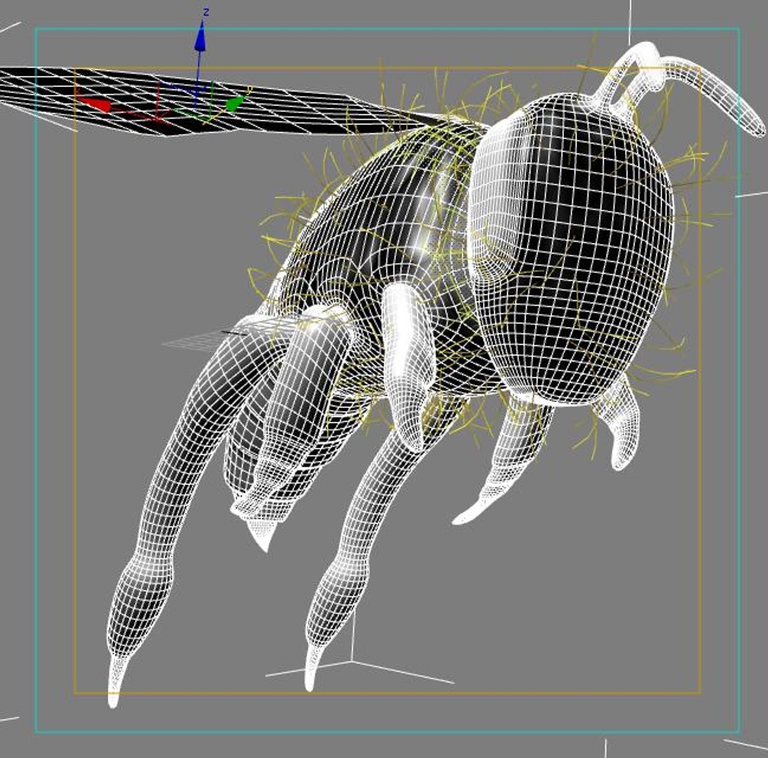 3D honey bee - TurboSquid 446625