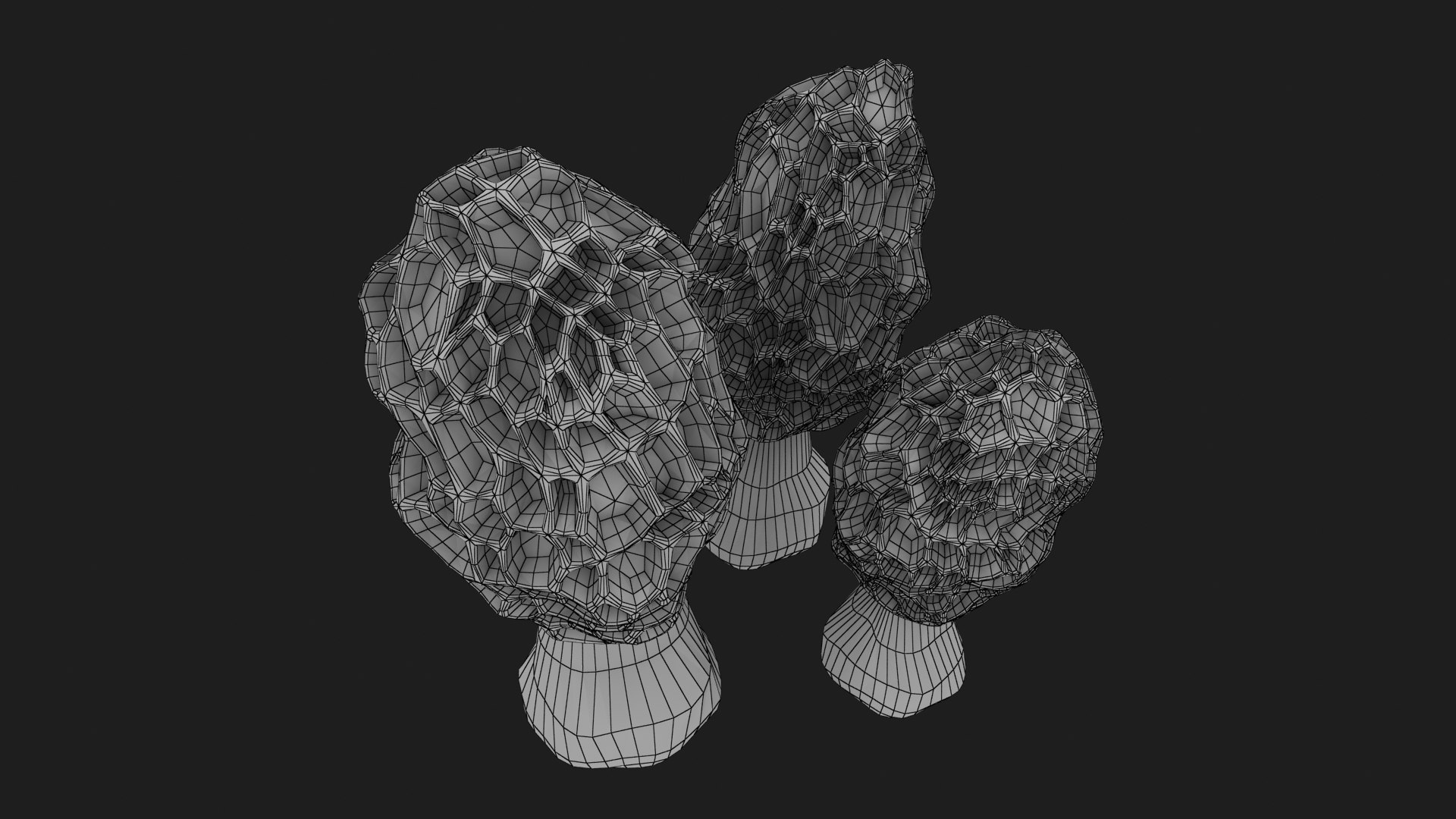 3d Model Morel Mushroom