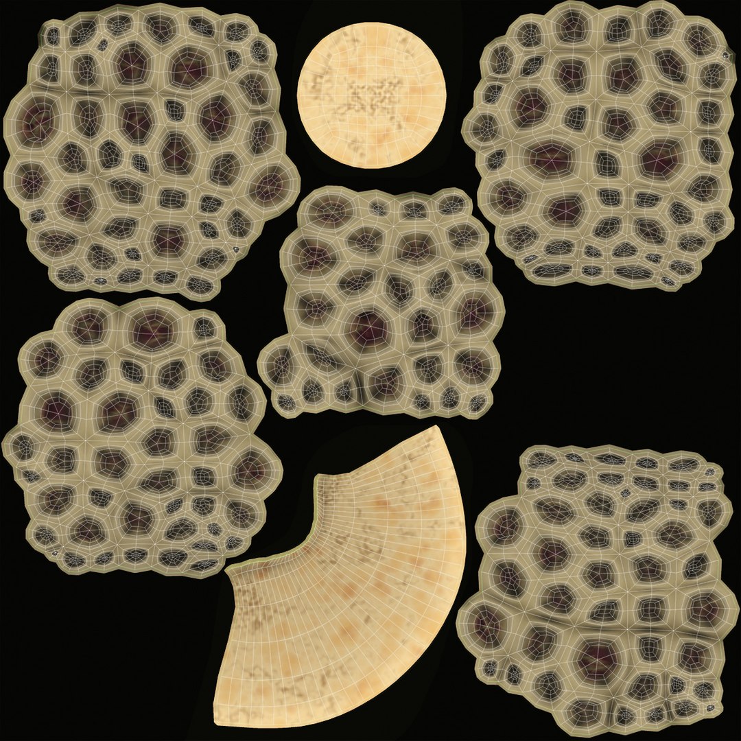 3d Model Morel Mushroom