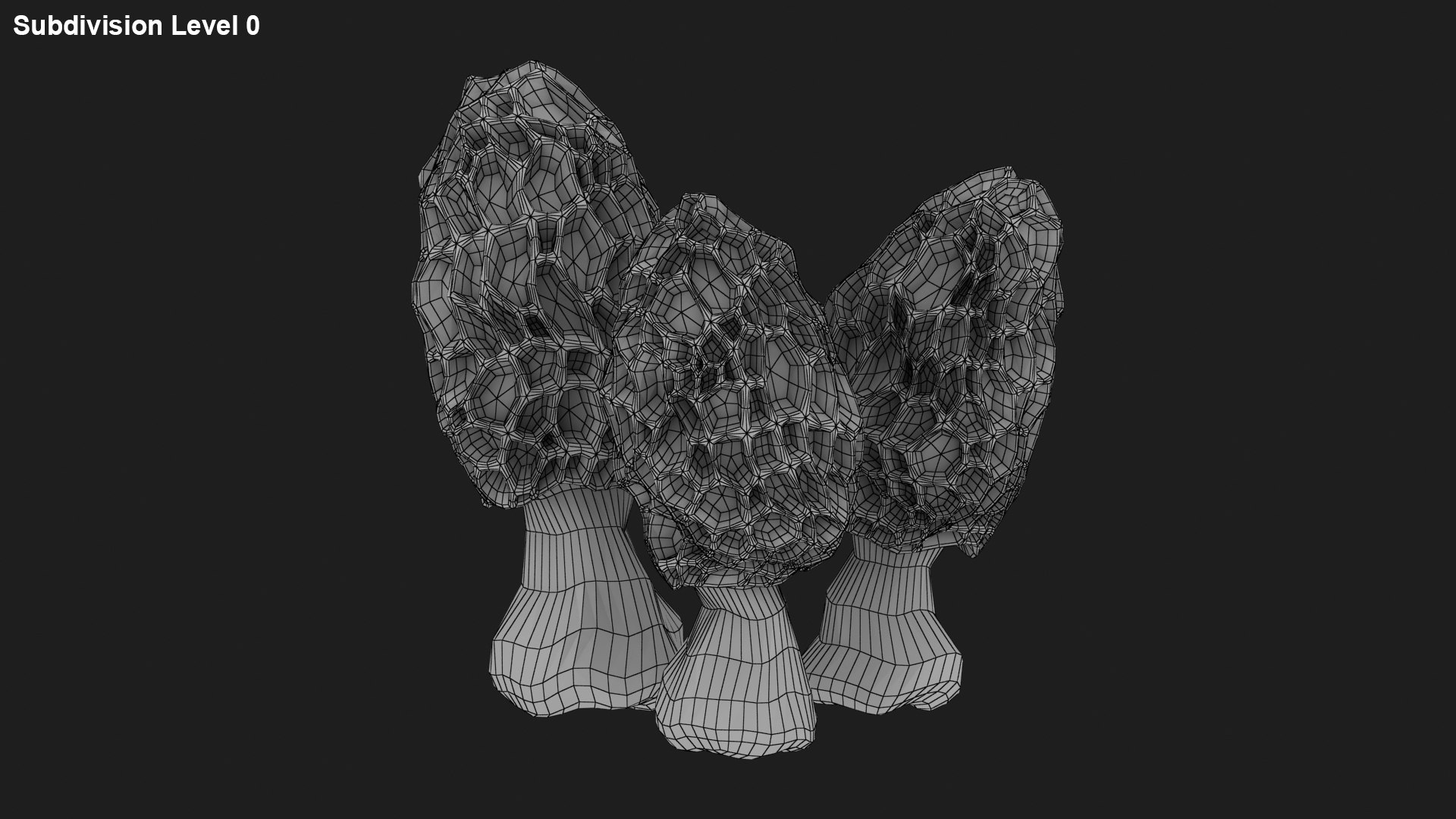 3d Model Morel Mushroom