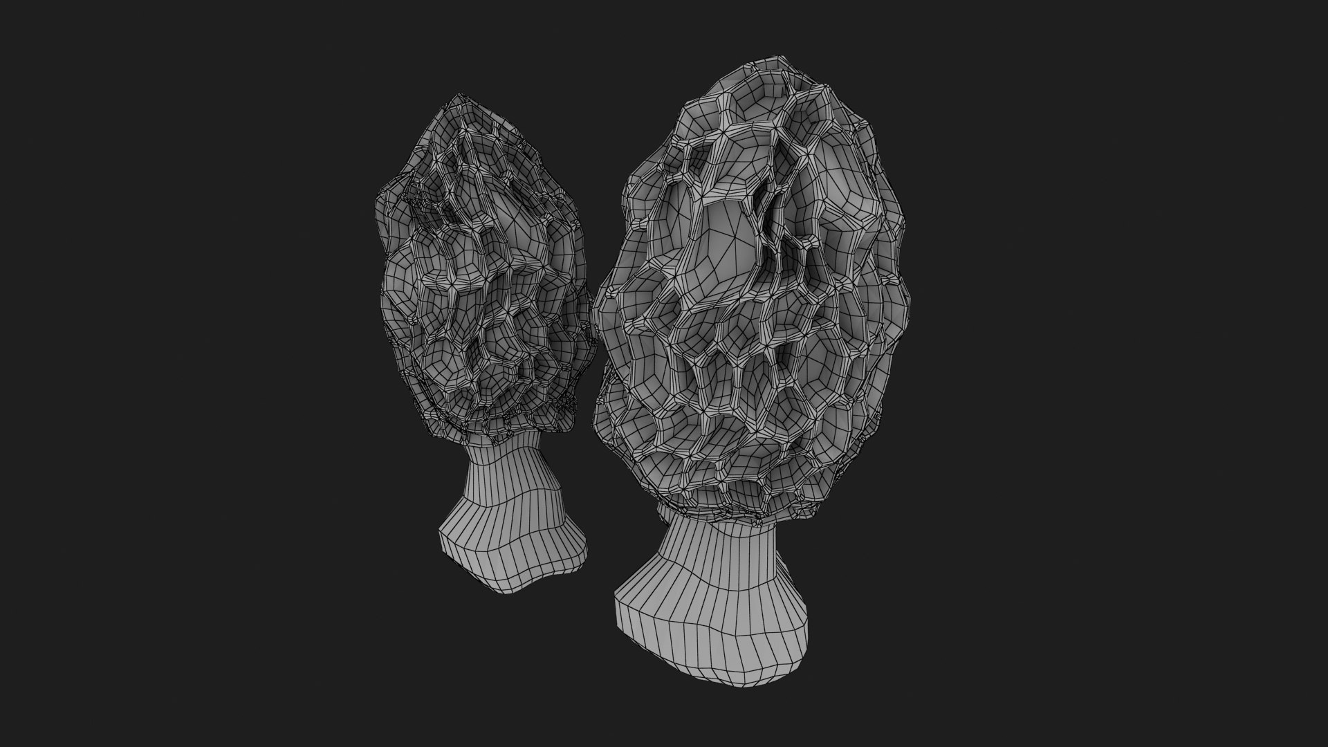 3d Model Morel Mushroom