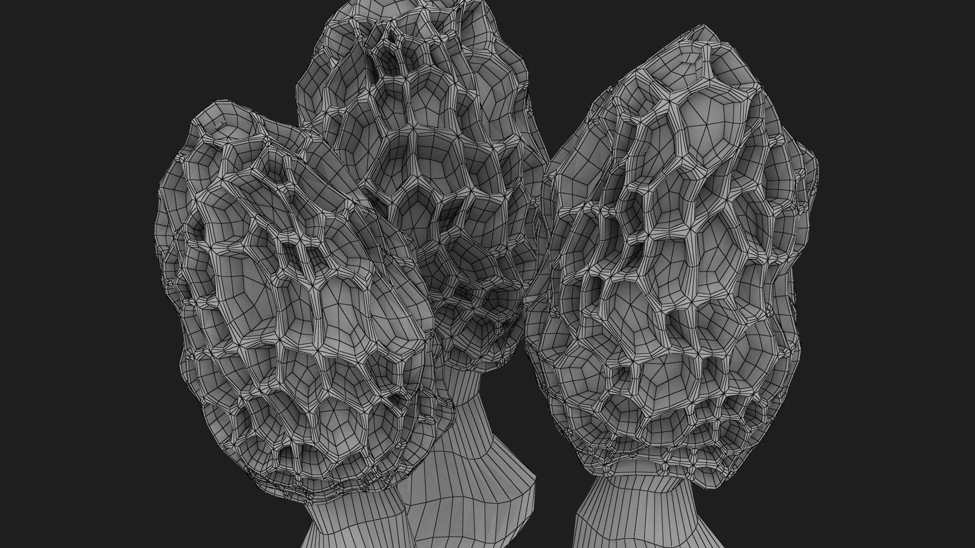 3d Model Morel Mushroom