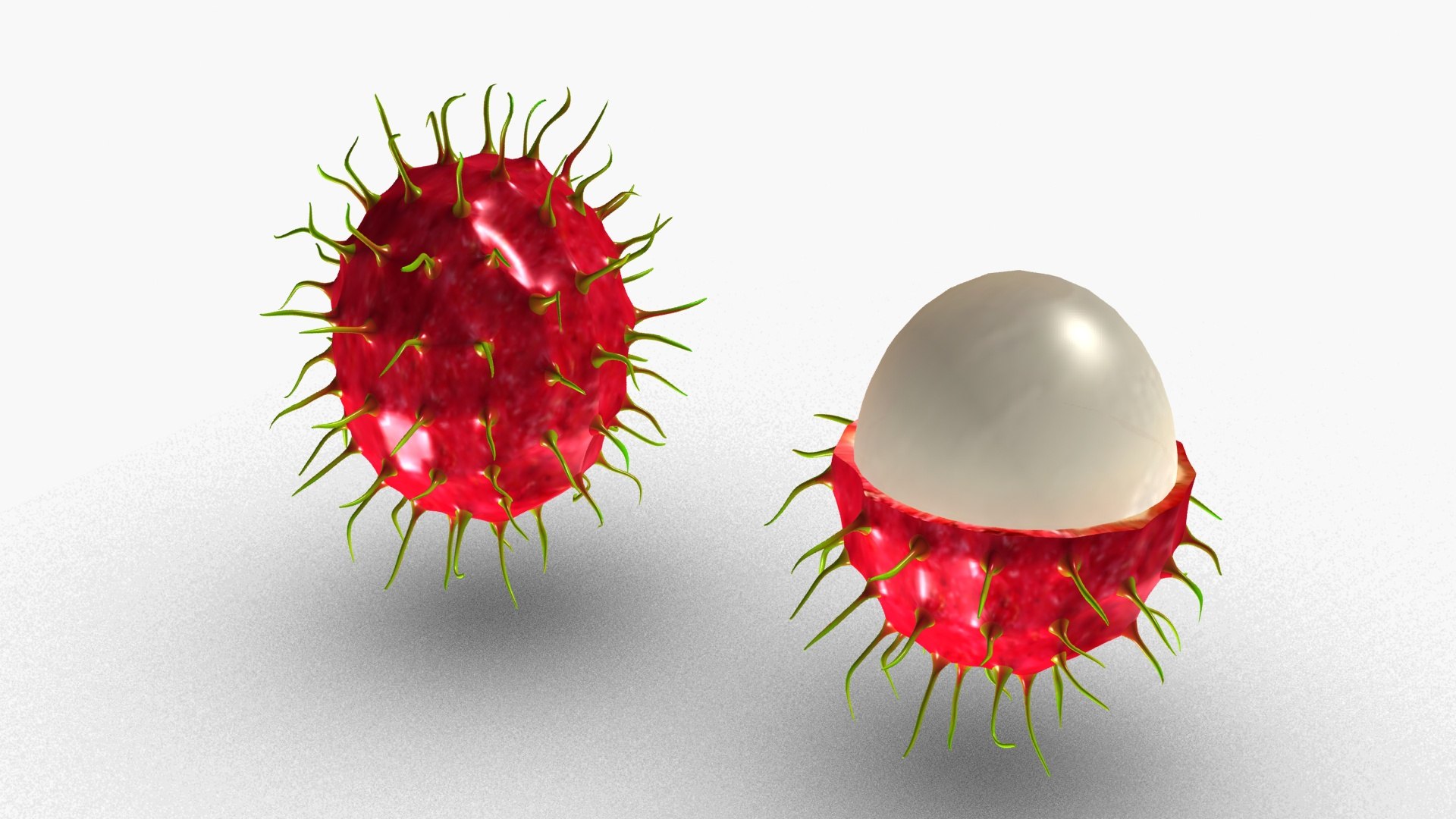 Rambutan Fruit Model - TurboSquid 2005213