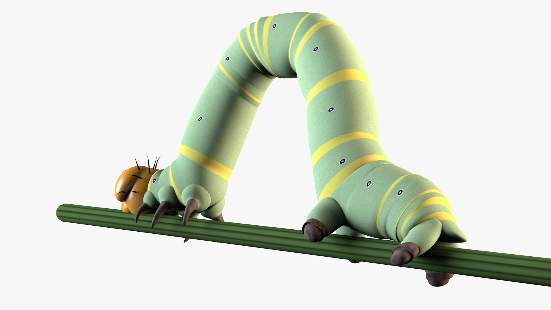 3D model Inchworm - TurboSquid 1815996