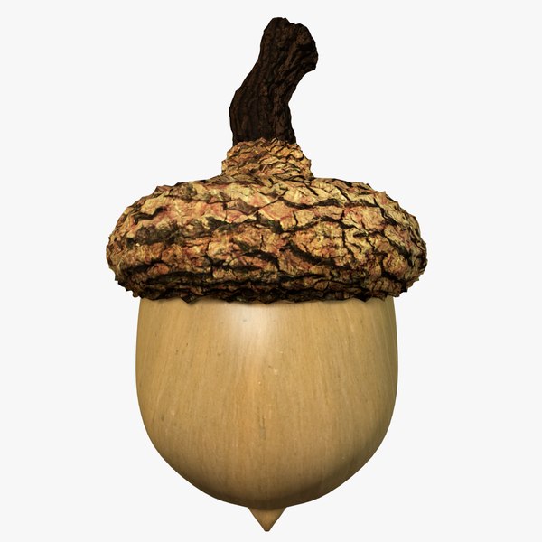 acorn max