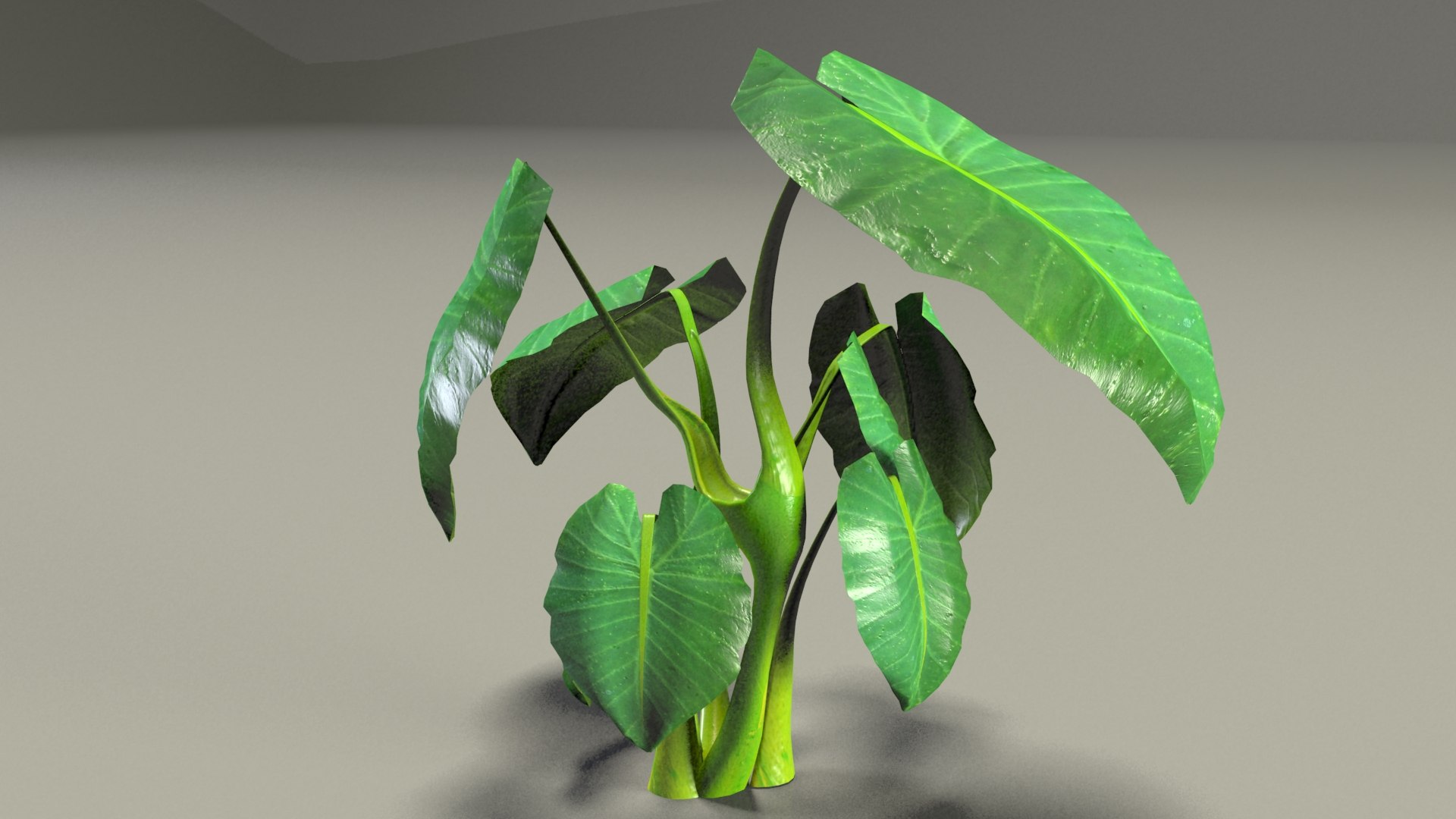 Leaf Stem 3d Model