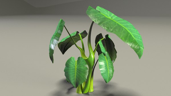 leaf stem 3d model