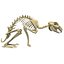 3d Rabbit Skeleton Animal Model