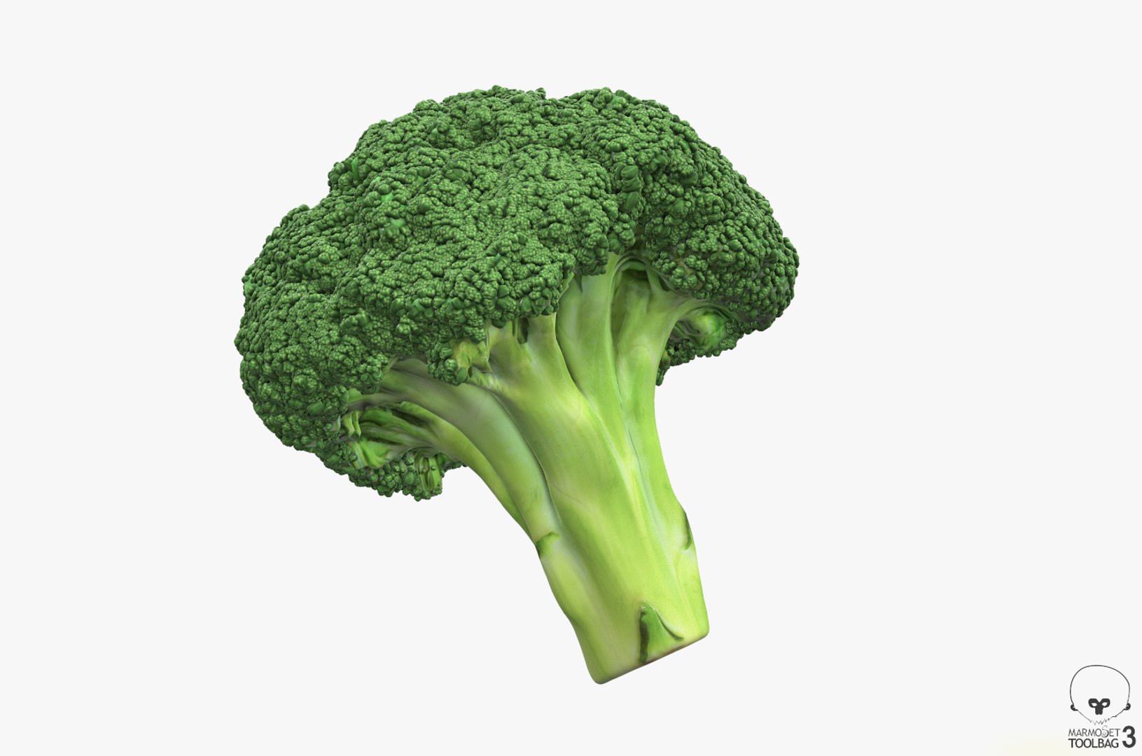 3D Broccoli Pbr Model - TurboSquid 1261782