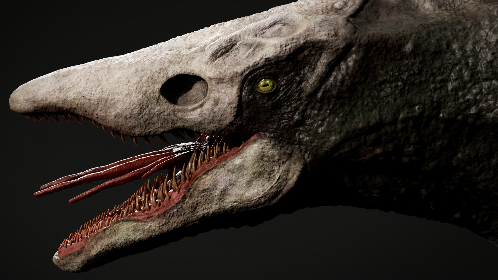 Skull Crawler Monster 3D - TurboSquid 2418000
