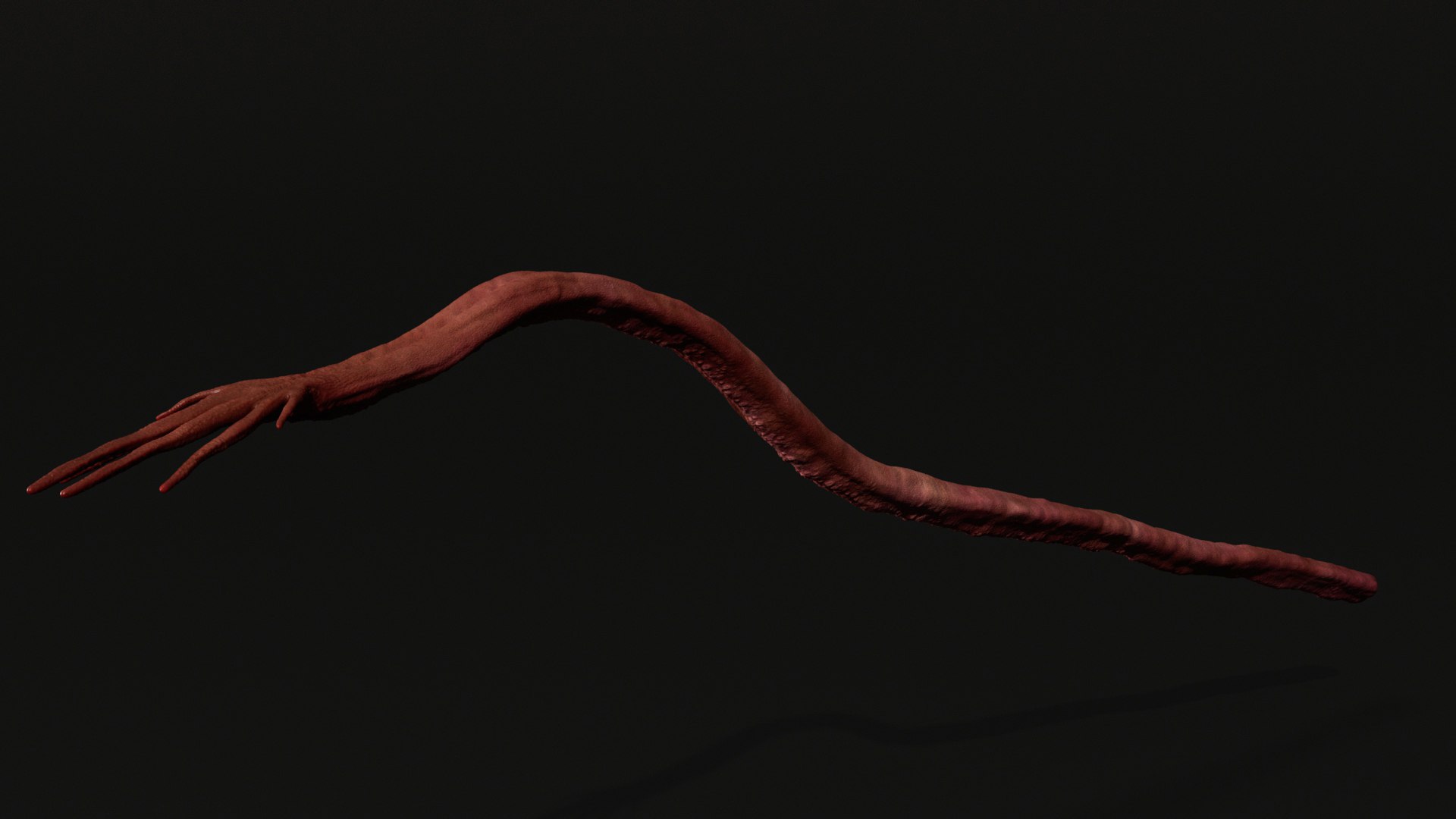 Skull Crawler Monster 3D - TurboSquid 2418000