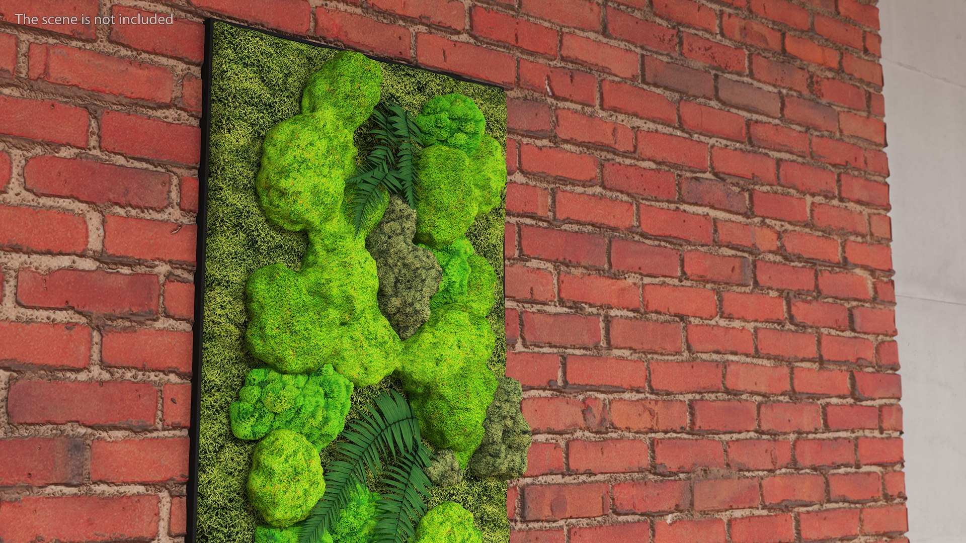 3D Green Moss Wall Preserved Model - TurboSquid 1653243