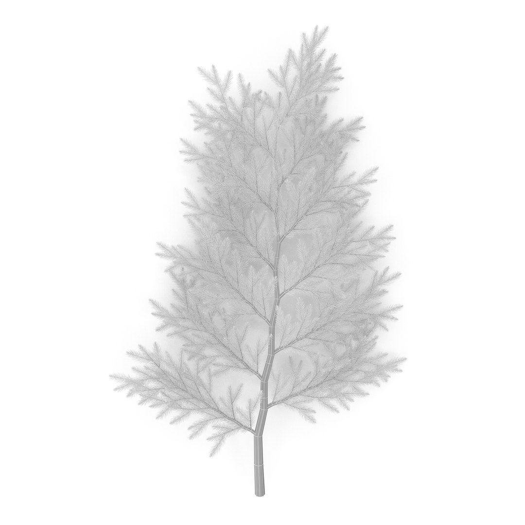 3D Spruce Branch Big - TurboSquid 2305176