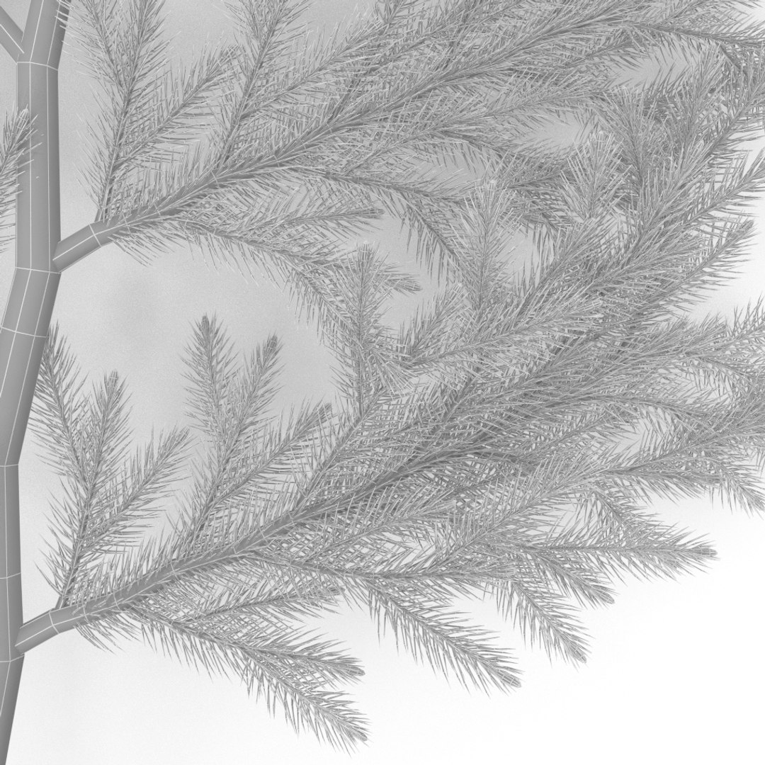3D Spruce Branch Big - TurboSquid 2305176