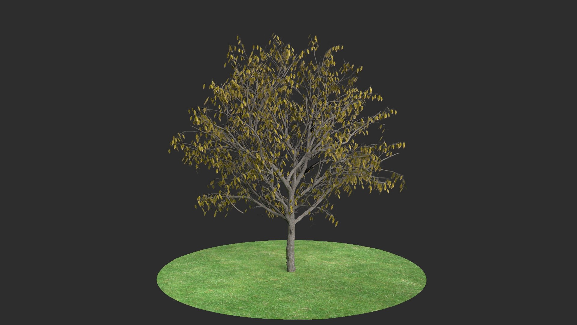 3D cherry autumn hight - TurboSquid 1619650