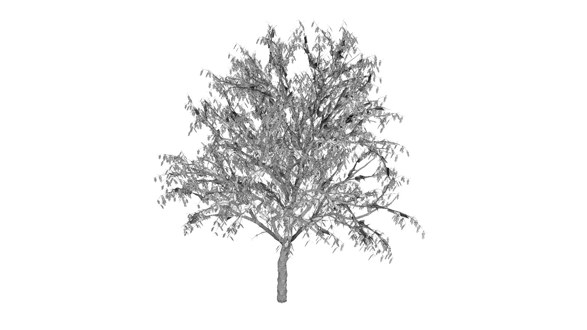 3D cherry autumn hight - TurboSquid 1619650