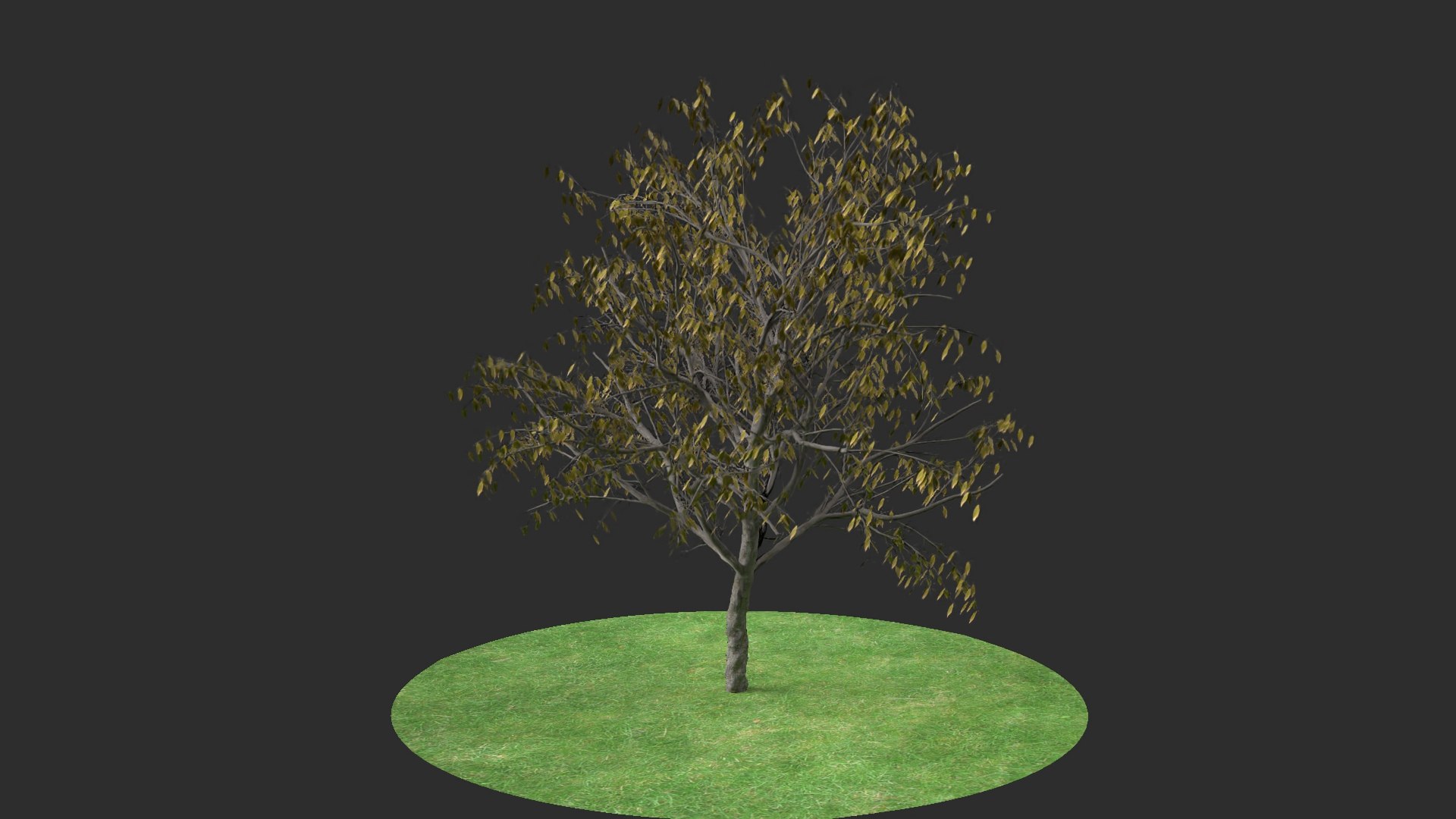 3D cherry autumn hight - TurboSquid 1619650