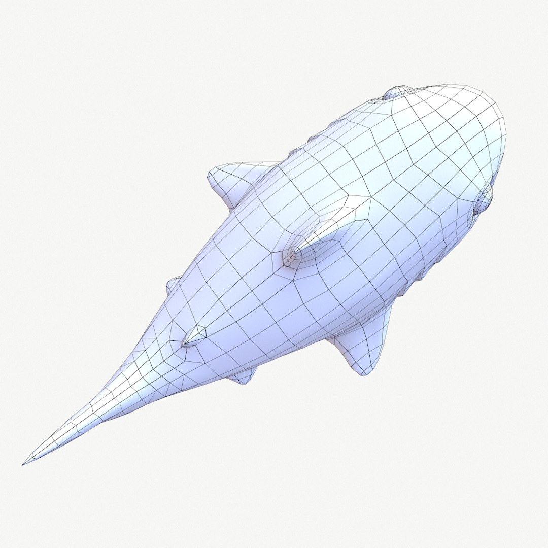 Stylized Baby Shark 3D Model - TurboSquid 1615318