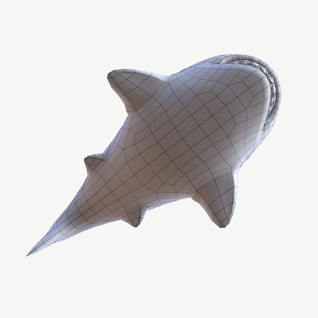 Stylized Baby Shark 3D Model - TurboSquid 1615318