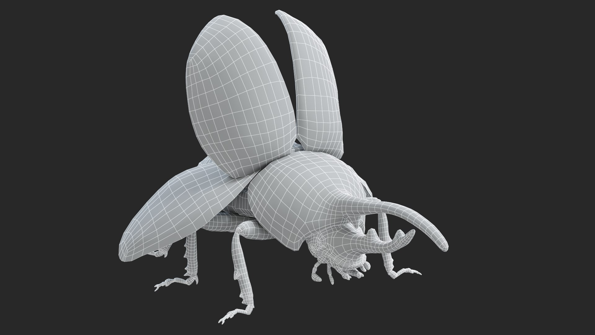 3D Hercules Beetle - TurboSquid 1990215