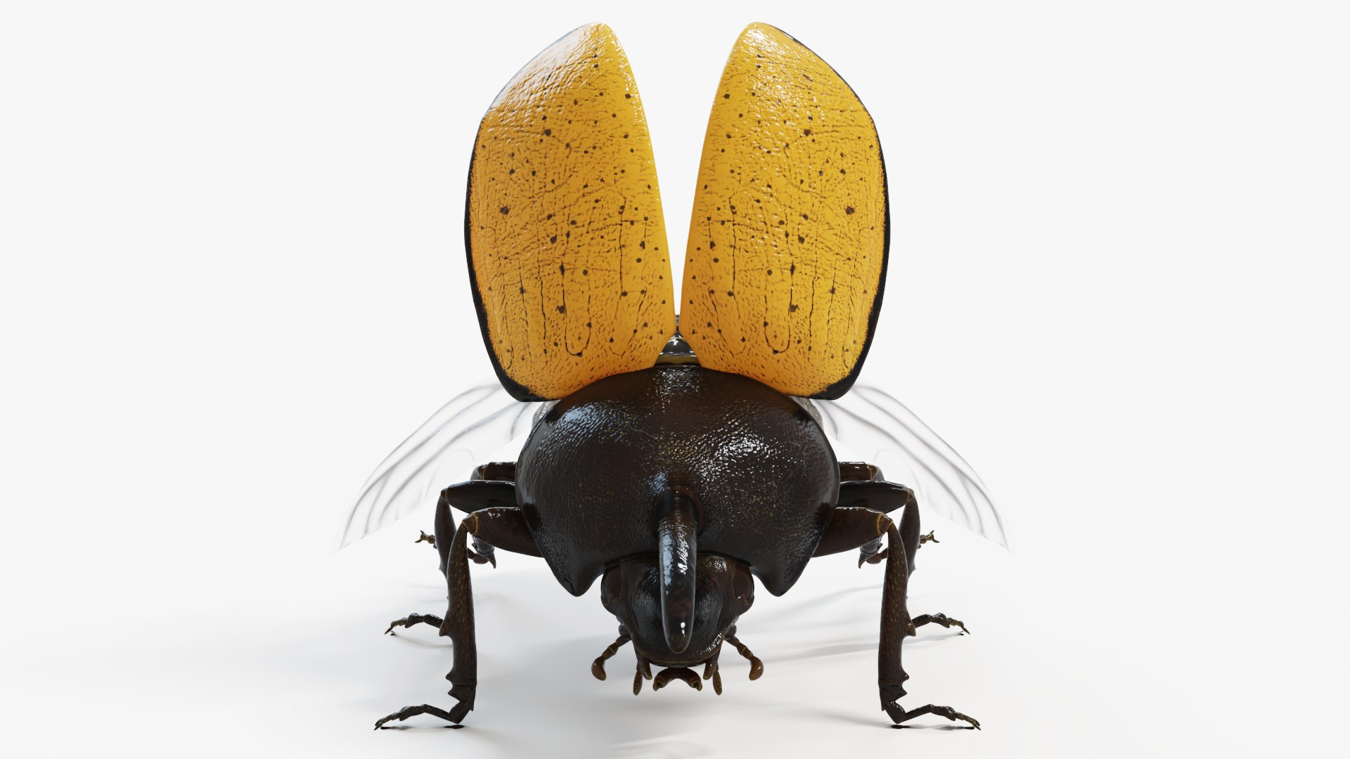 3D Hercules Beetle - TurboSquid 1990215