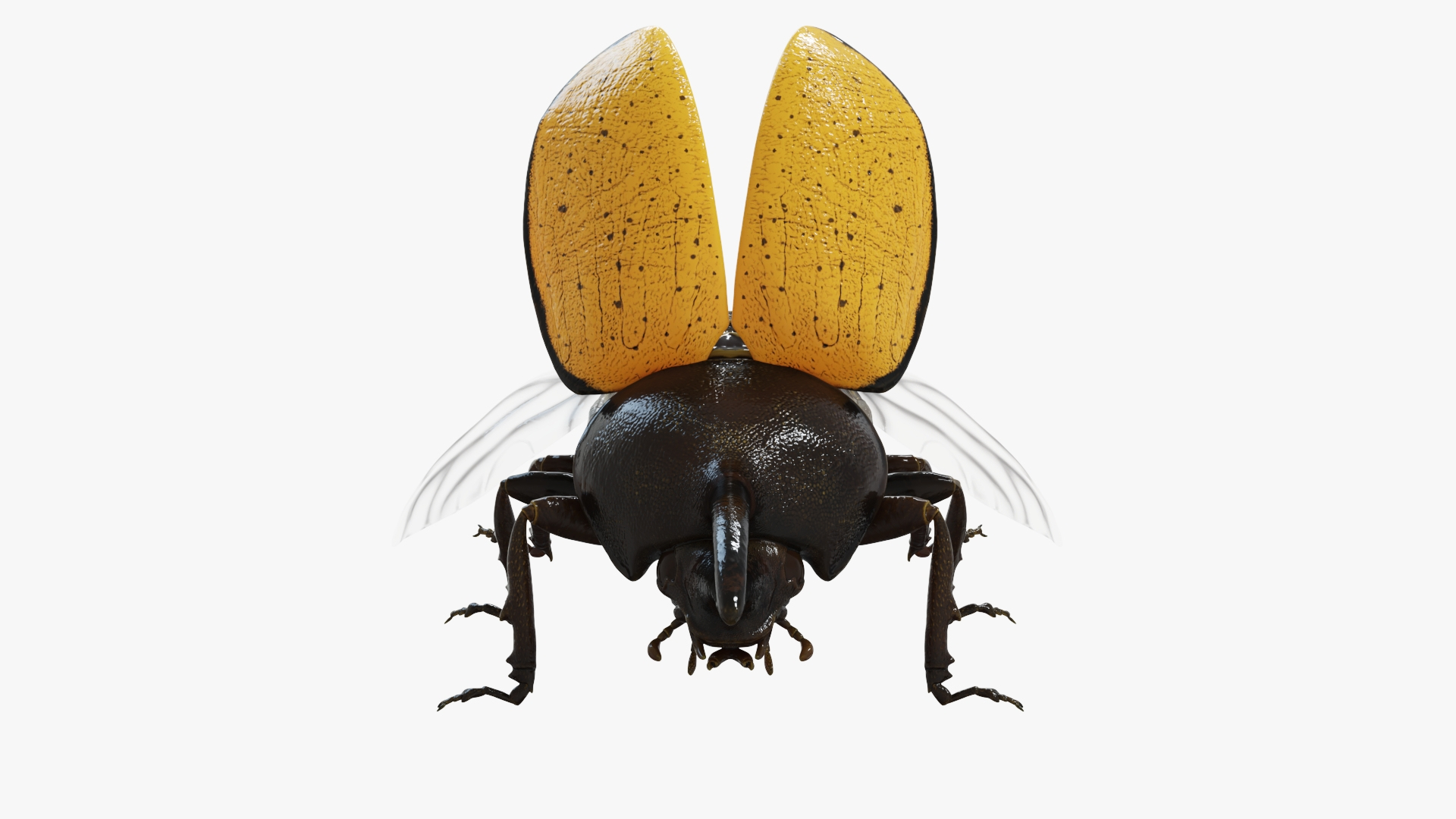 3D Hercules Beetle - TurboSquid 1990215