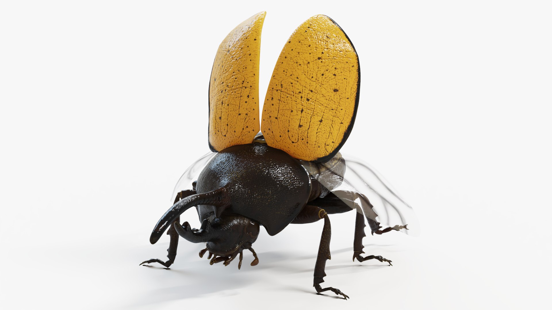 3D Hercules Beetle - TurboSquid 1990215
