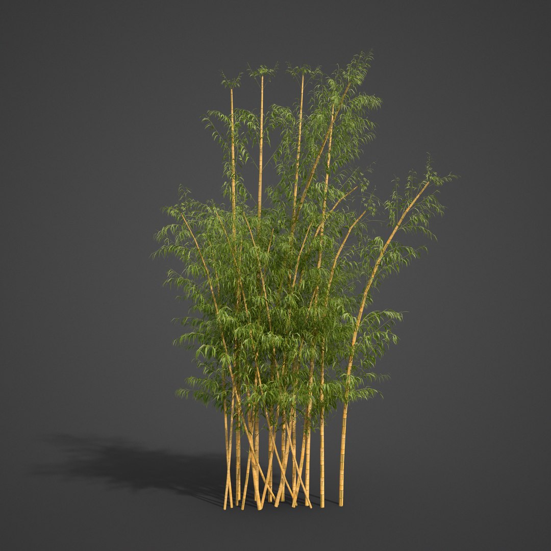 Free Bamboo E Model - TurboSquid 1678382