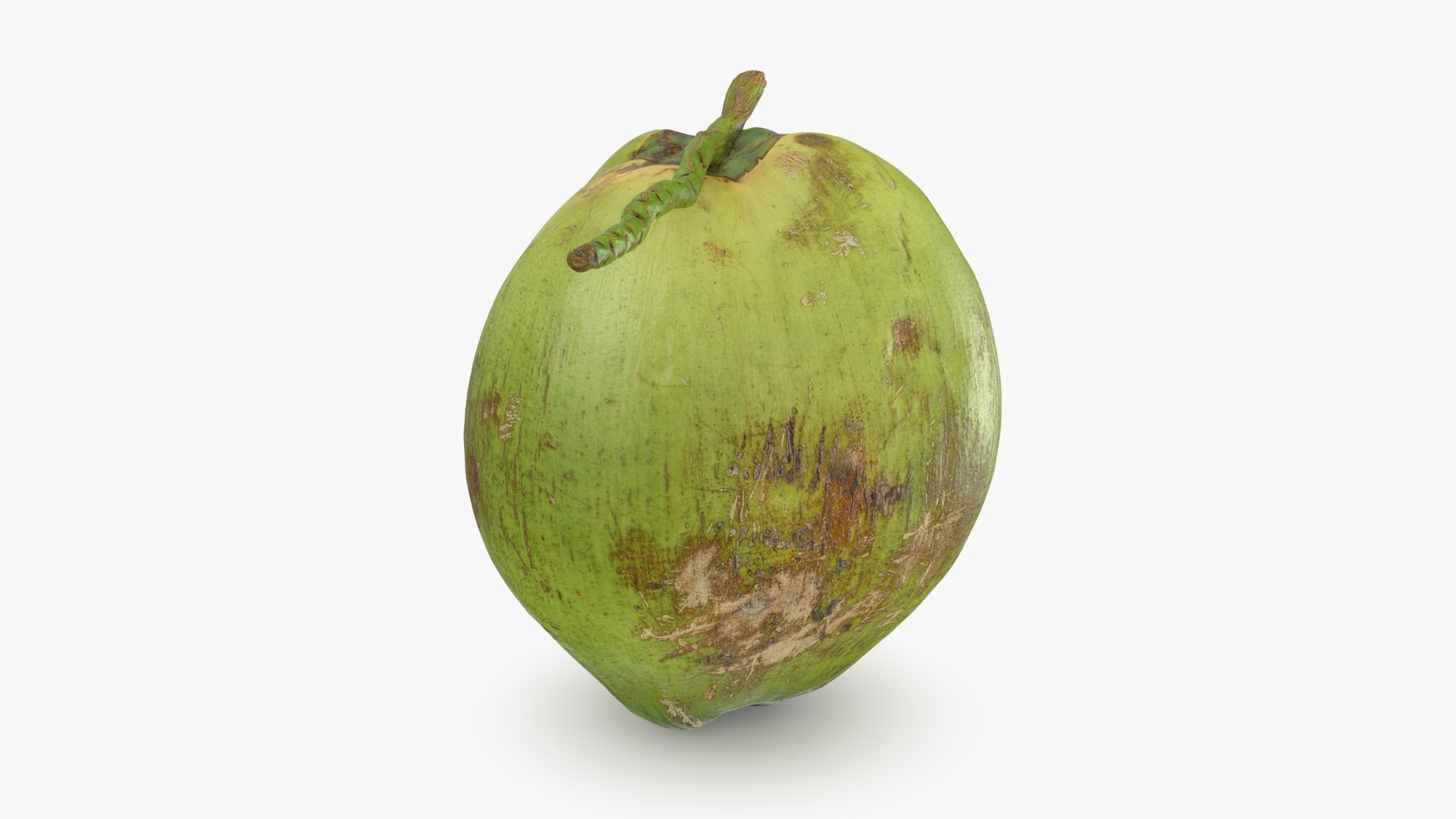 Green Coconut With Stem 02 3D Model - TurboSquid 2318896