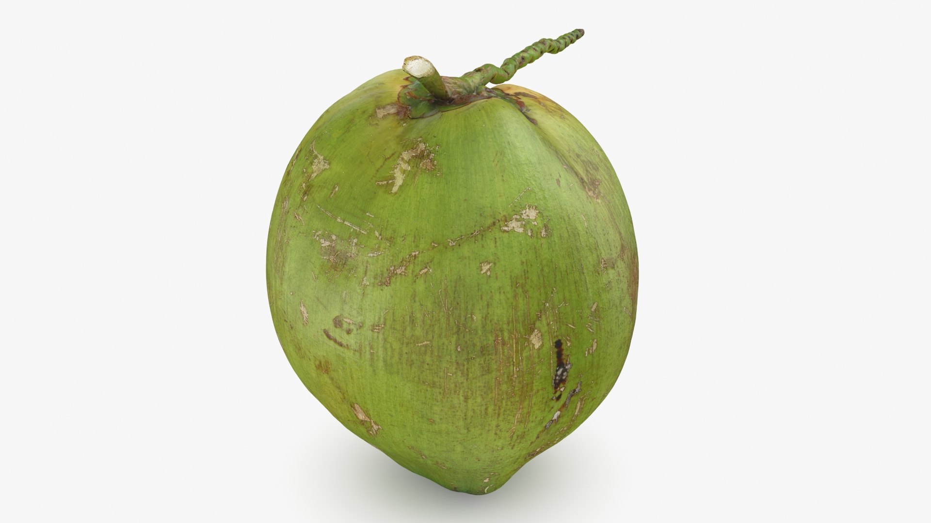 Green Coconut With Stem 02 3D Model - TurboSquid 2318896