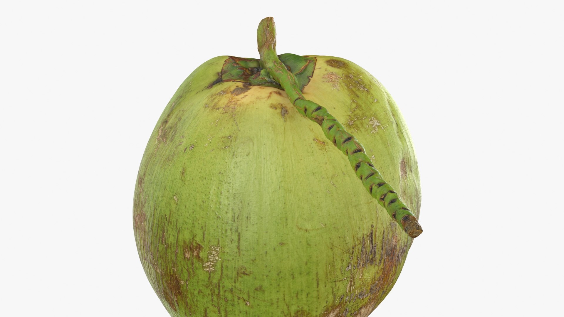 Green Coconut With Stem 02 3D Model - TurboSquid 2318896