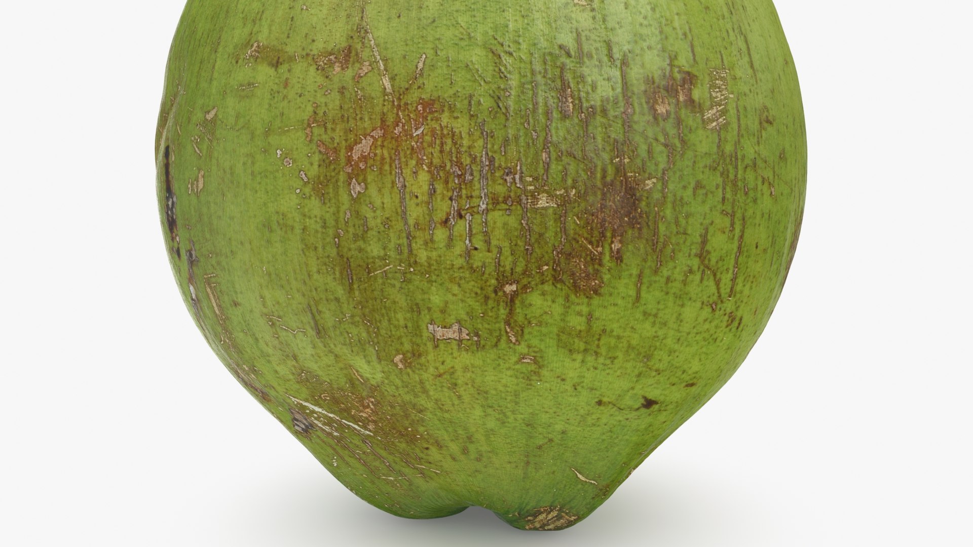 Green Coconut With Stem 02 3D Model - TurboSquid 2318896