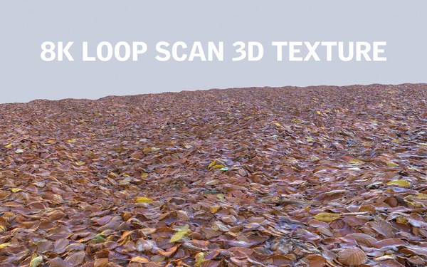 autumn forest ground scanned 3d model