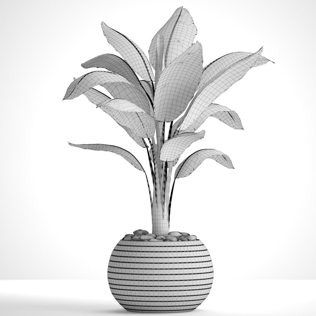 Banana Tree 3D Model - TurboSquid 1159183